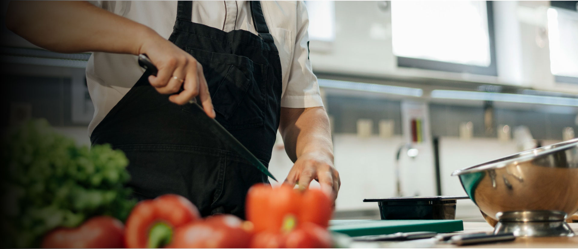 Doshio | Leading Kitchen Appliance & Air Fryer in Malaysia